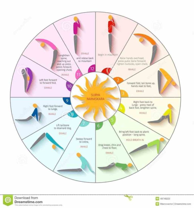 Poses poster postures dharma mittra · beginnerintermediate course chart ...