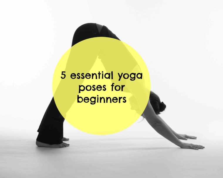 into your training heres a visual guide ten essential poses for - Work ...
